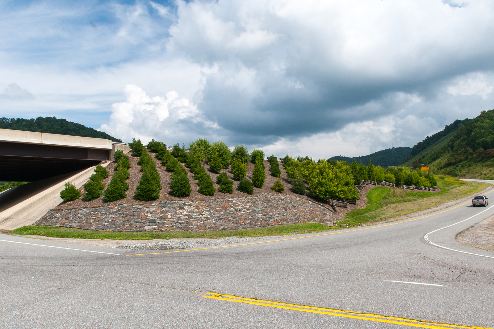 NCDOT: Roadside Beautification