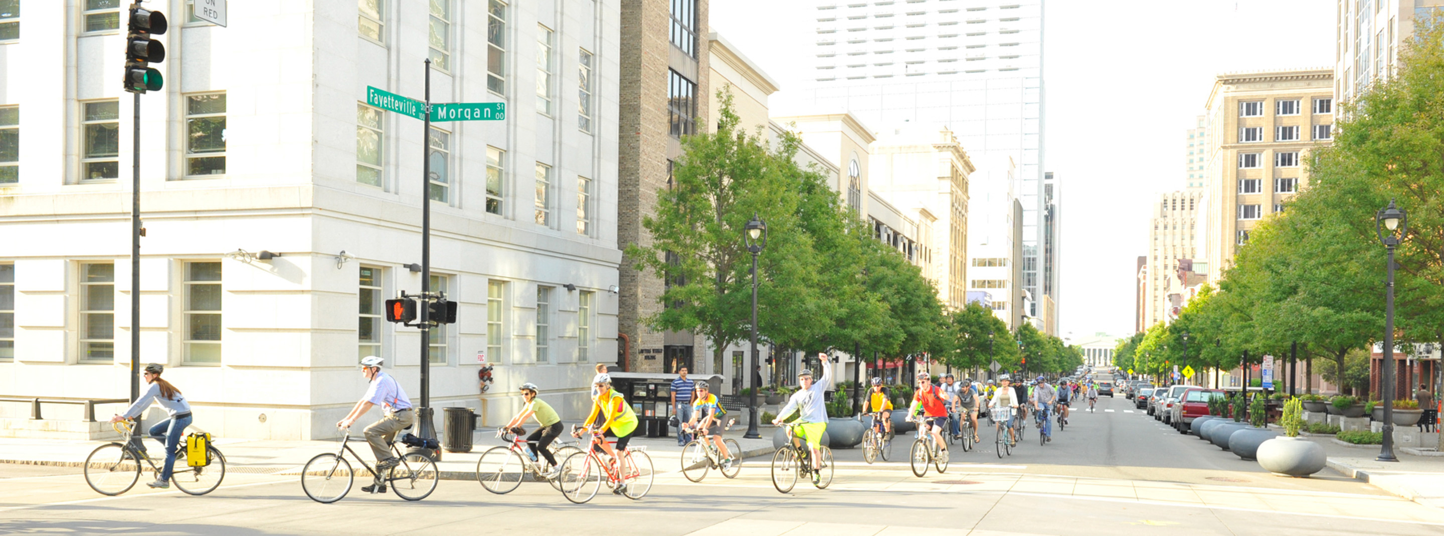 bike-ped - All Items: Flat View