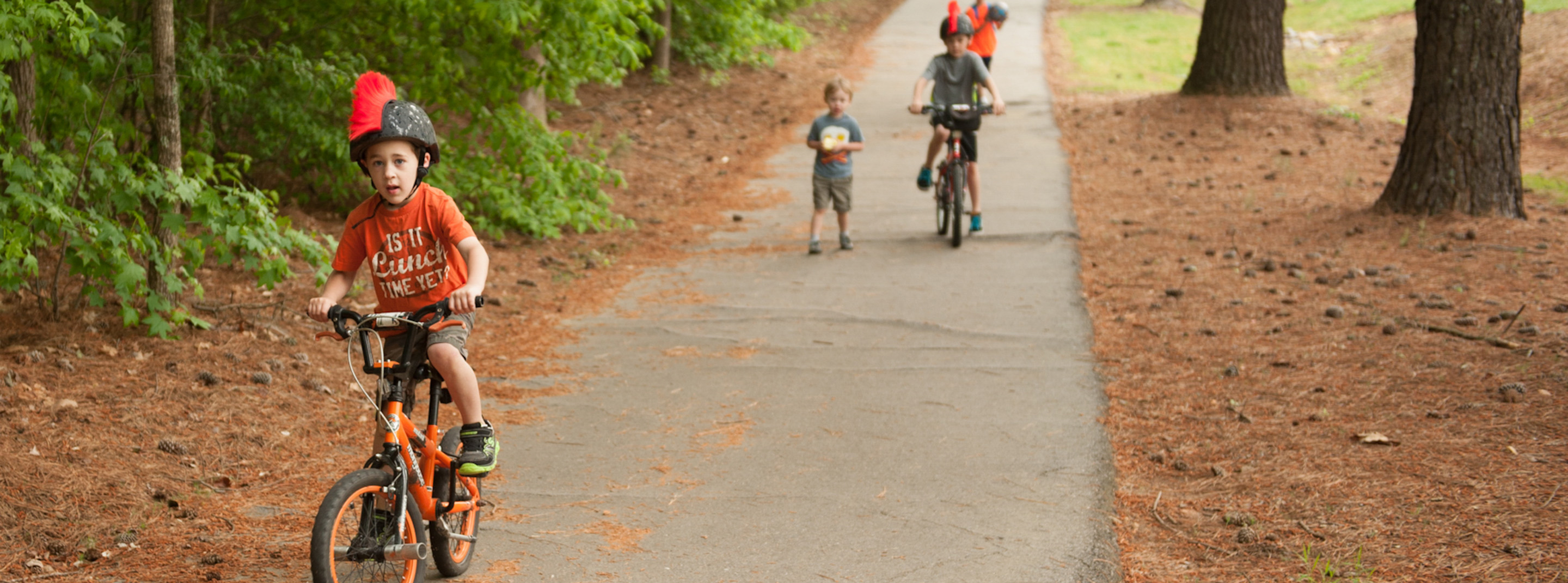 bike-ped - All Items: Flat View