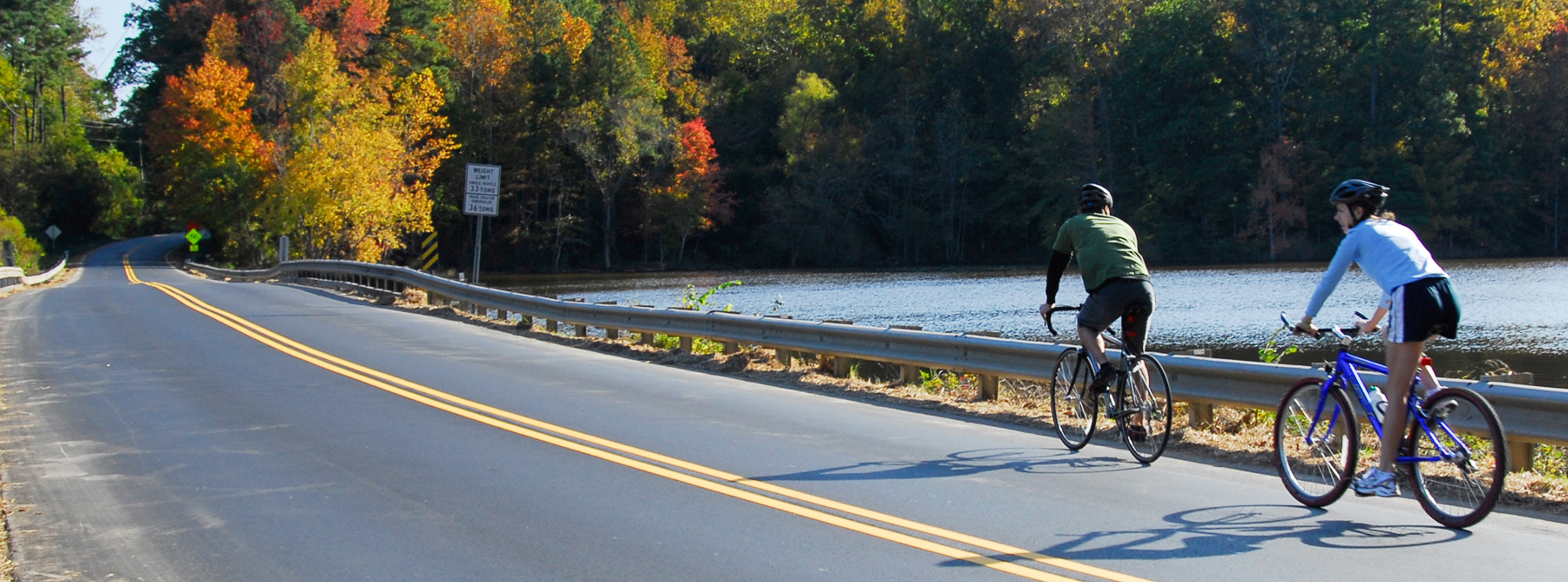 bike-ped - All Items: Flat View