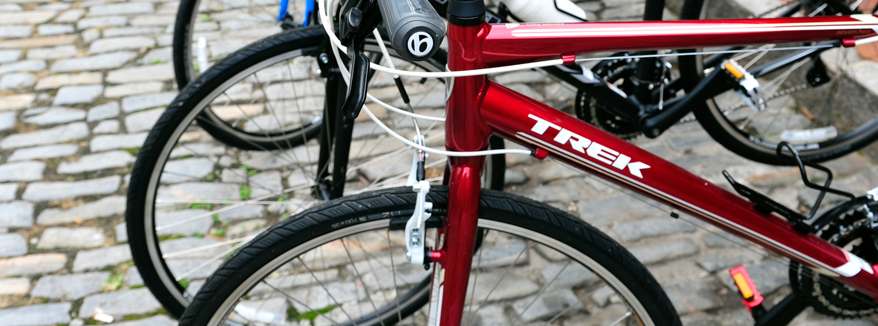 bike-ped - All Items: Flat View