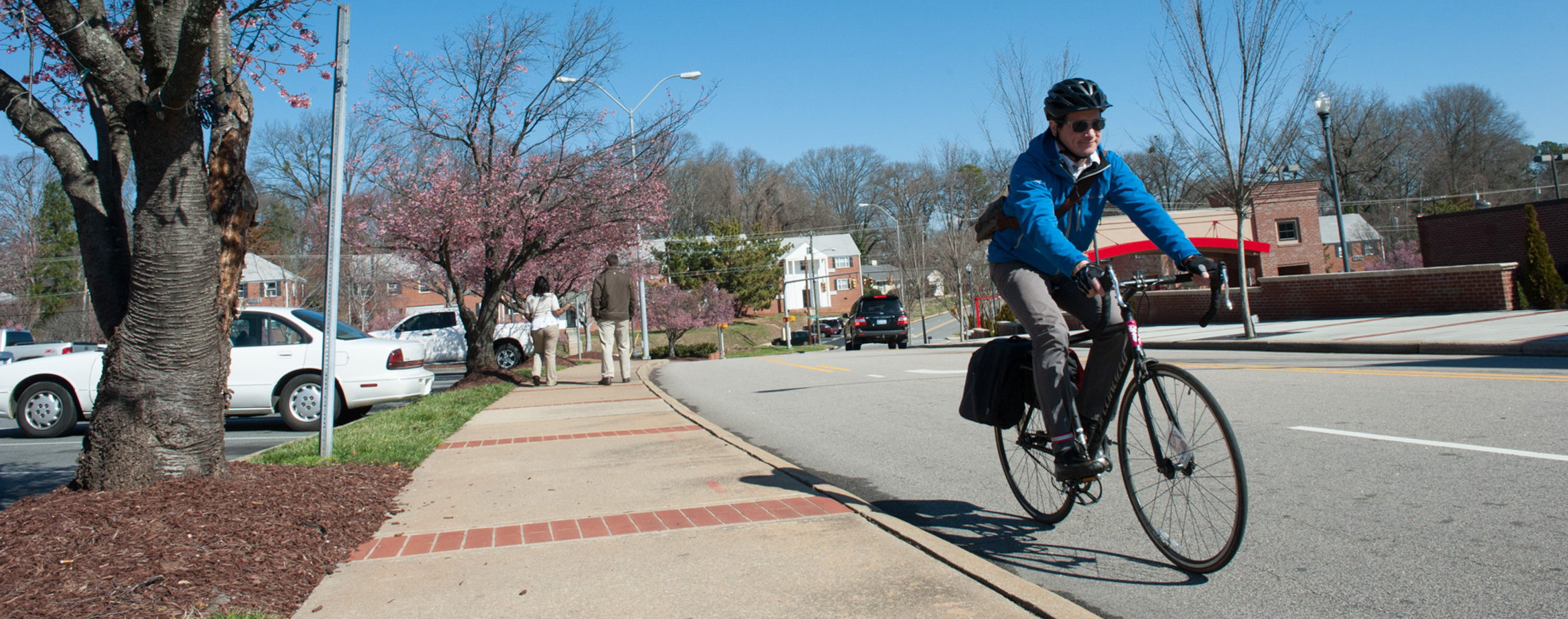 bike-ped - All Items: Flat View