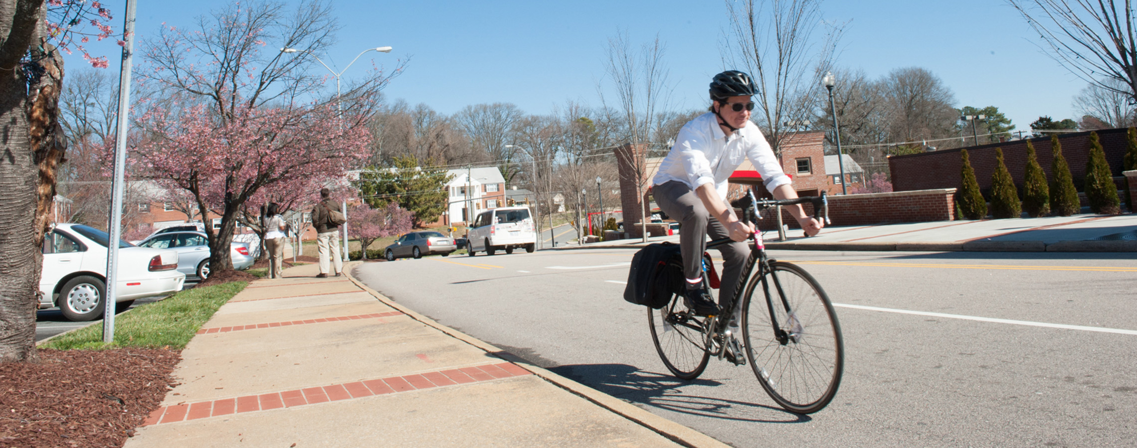 bike-ped - All Items: Flat View