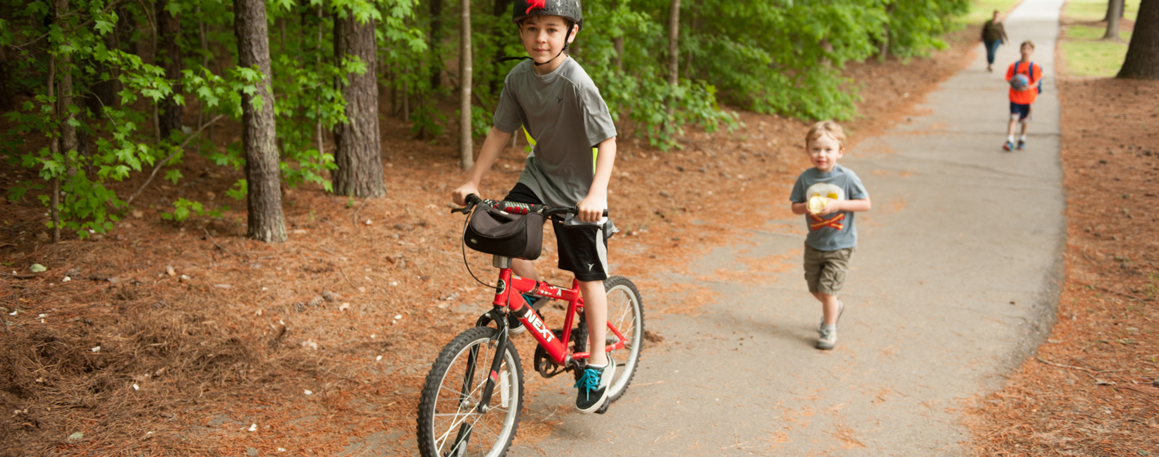 bike-ped - All Items: Flat View