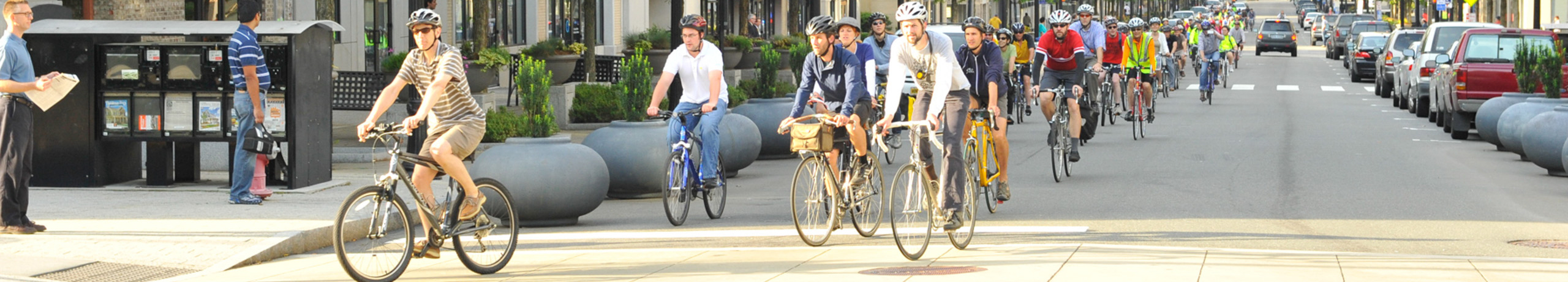 bike-ped - All Items: Flat View
