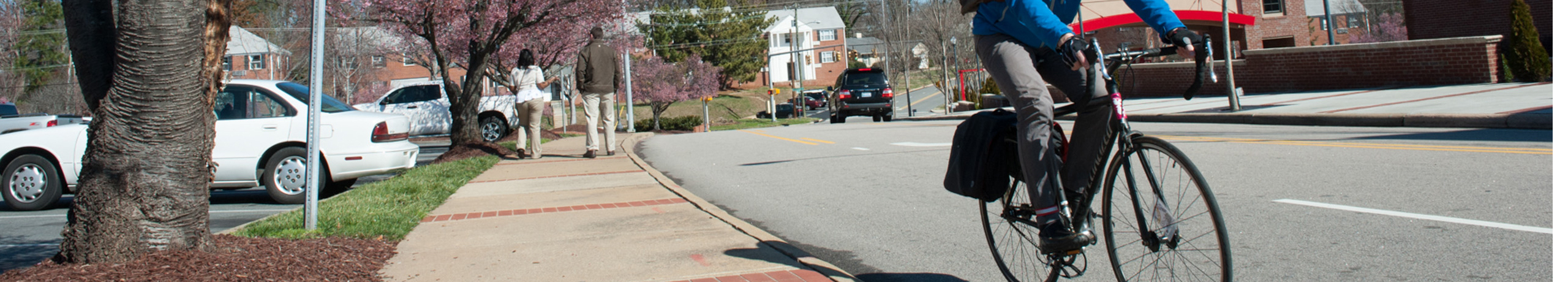 bike-ped - All Items: Flat View