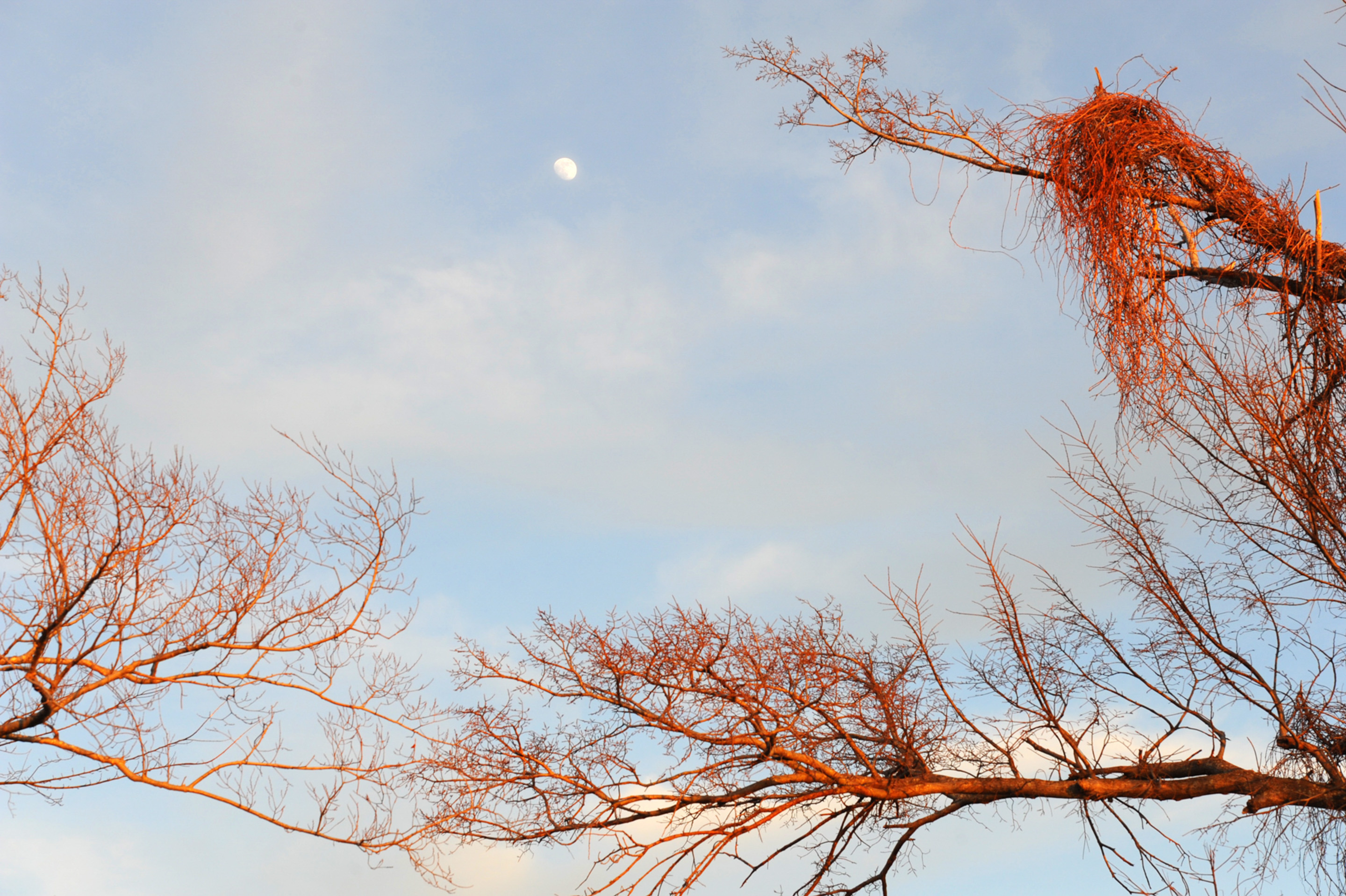environment - All Items: Flat View